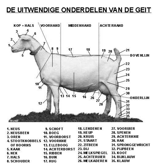 Keurmeesters en inspecteurs NOG – Nederlandse Organisatie voor de ...